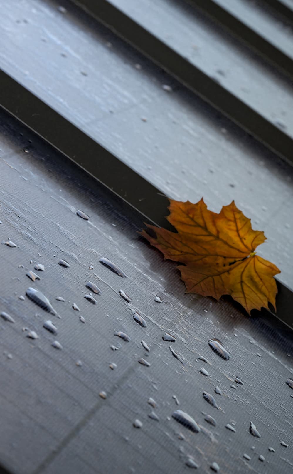 Roofit Solar die perfekte PV Anlage | SmartSmallHouse - Tiny House, Small House, Medium House ...